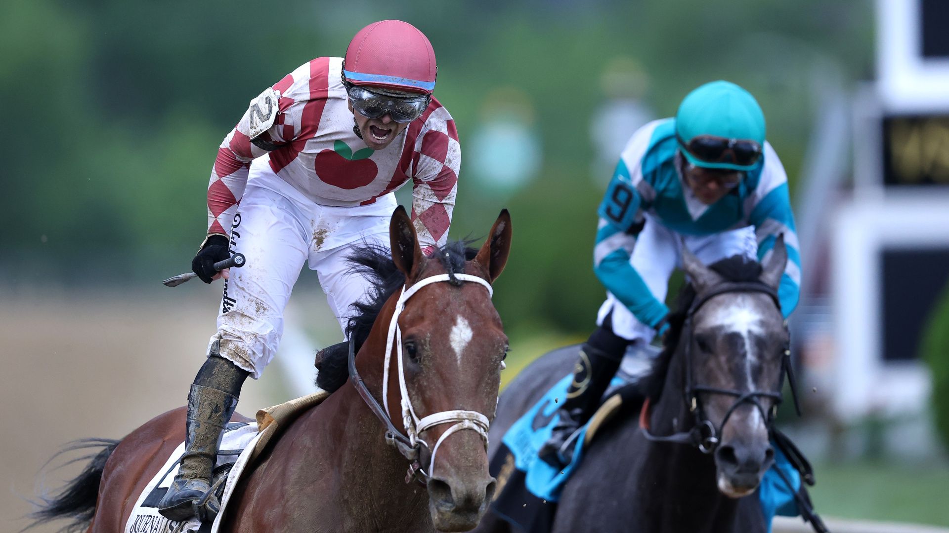 Preakness Stakes 2026 Como Assistir à Corrida De Cavalos Ao Vivo